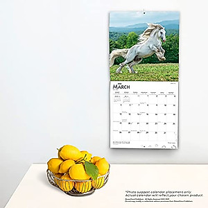 Horse Lovers | 2023 12 x 24 Inch Monthly Square Wall Calendar | Foil Stamped Cover | BrownTrout | Animals Equestrian