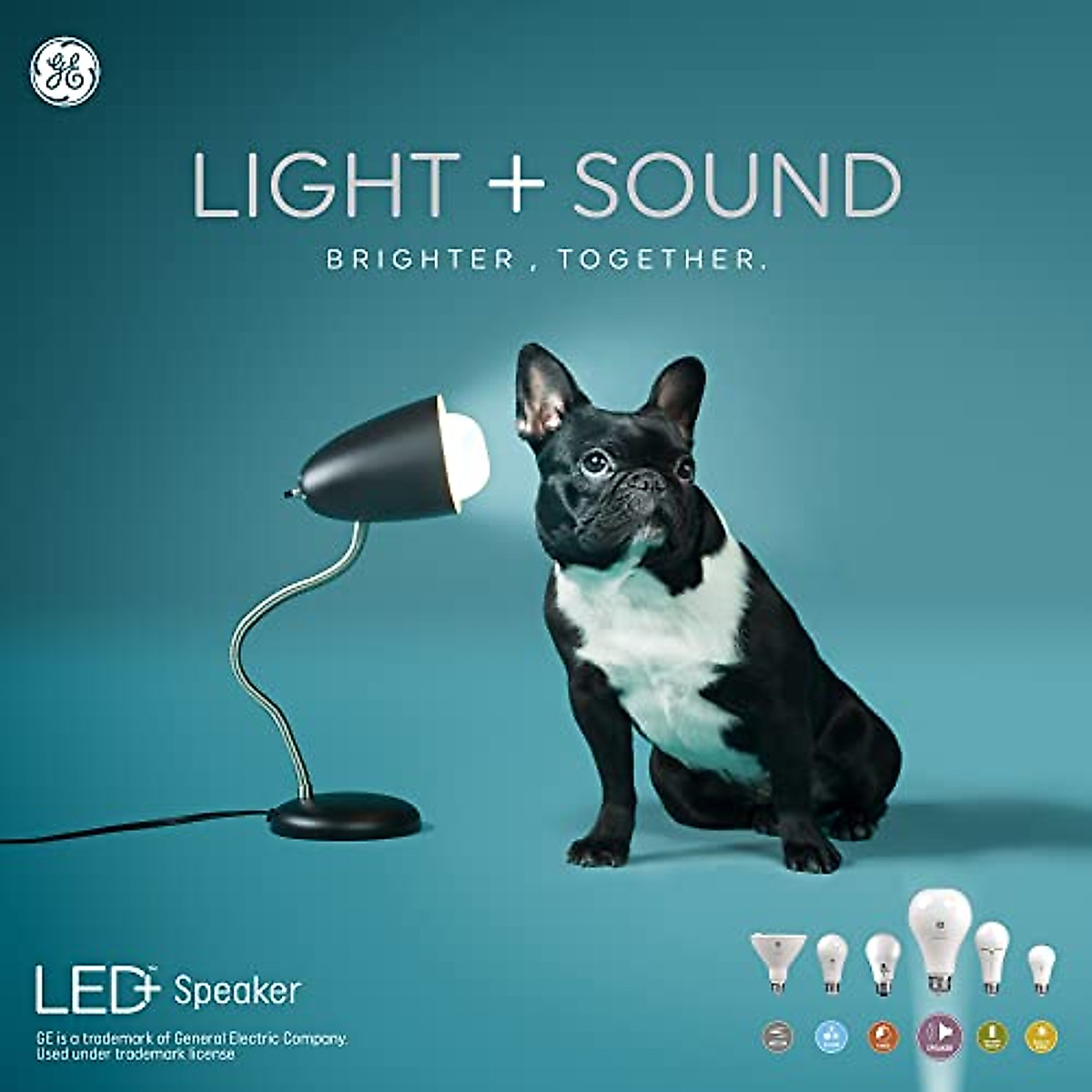 GE Lighting LED+ Speaker Indoor Floodlight Bulb, Soft White, Bluetooth Speaker, No App or Wi-Fi Required, Remote Included, BR30 Indoor Floodlight Bulb (1 Pack)