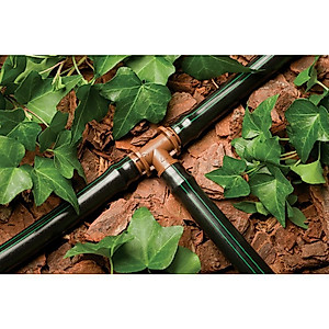 Rain Bird T63-050 Drip Irrigation 1/2" (0.634" OD) Blank Distribution Tubing, 50' Roll, Black