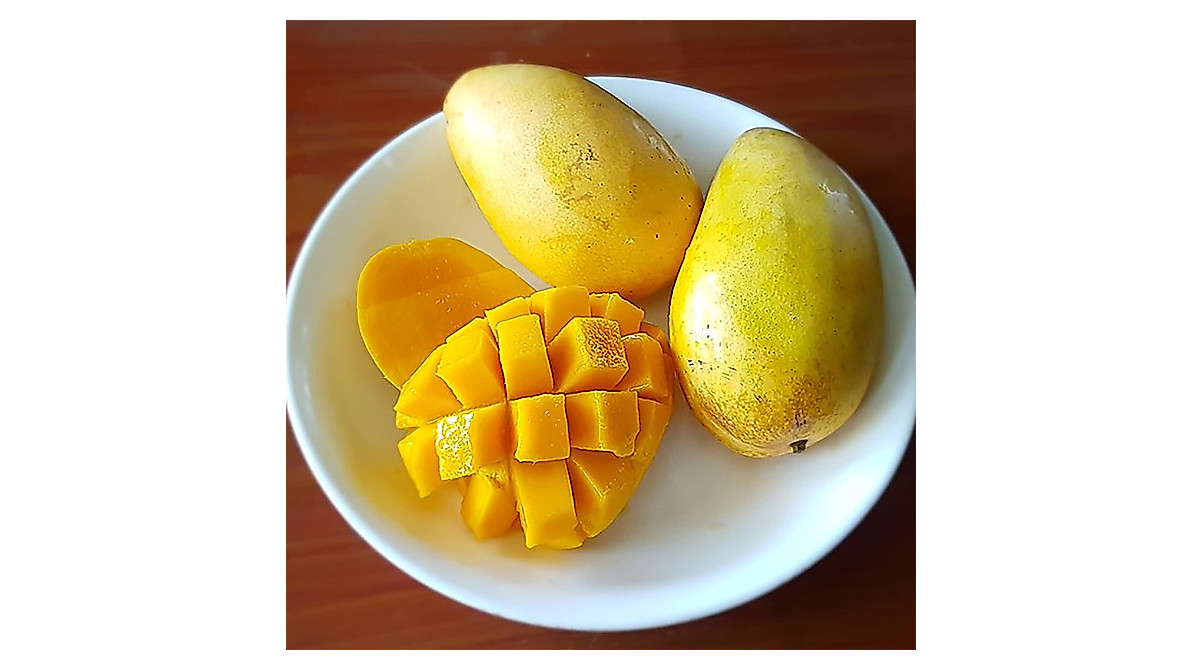 Grow Sweet Mango - QAUZUY GARDEN Organic Seeds