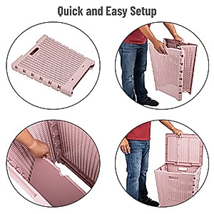 Mind Reader Basket Collection, Foldable Laundry Hamper, 61 Liter (10kg/22lbs) Capacity, Cut Out Handles, Attached Hinged Lid, Ventilated, 14.5"L x 18"W x 21.25"H, Pink