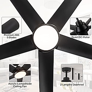 NWIASS Modern Farmhouse Ceiling Fans with Lights, 60" Black Outdoor Ceiling Fans for Patios, Low Profile Flush Mount Ceiling Fan with 5 Blades DC Motor for Indoor Bedroom Garage (60" Black-B)