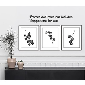 Black And White Wall Art - Eucalyptus Leaves - Botanical Art Prints - Minimalist Pictures - Set of 3-8x10 - Unframed