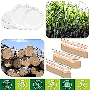 HOMURG Party Paper Plates and Napkins & Cups & Cutlery Set, 240 PCS Compostable Dessert & Dinner Plate + Napkin + Cup + Flatware, Disposable Christmas Birthday Plates and Napkins for 30 Guests