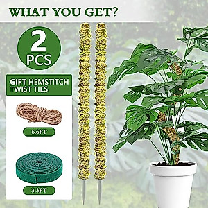 2 Pcs Moss Pole for Plants Monstera - 25 Inch Bendable Plant Stakes for Indoor, Moss Poles for Climbing Plants, Handmade Mossy Rod Plant Support for Creeper Plants Grow Upwards