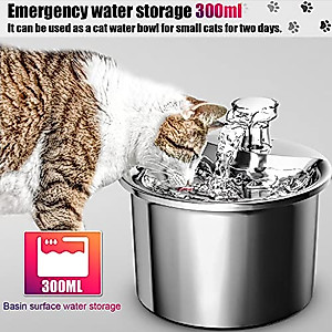 CanvasLot Cat Water Fountain, Pet Fountain for Cats Inside,Ultra-Quiet 2L/67oz Automatic Dog Water Fountain Stainless Steel with 4 Replacement Filter