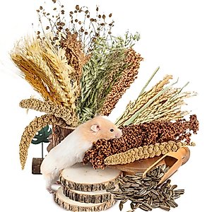NICERINC PET Natural Ear of Grain Flower&Herb Bedding Mate Habitat Decor, Adding Fun Hamster Accessories for Hamsters Gerbils Lemming
