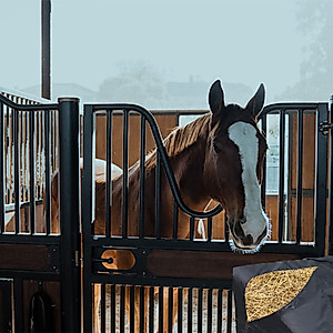 POTRAS Large Hay Bales Storage Bag: 420D Tote Waterproof Collapsible Bag Hay Bale Tote Bag with Zipper, 46Inch Durable Hay Bags for Horses and Livestock