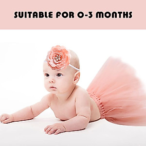 Baby Tutu Skirt Infant Tutus Baby Girls & Toddlers Girls Pink Tulle Tutu First Birthday Tutu Skirt Sets with Flower Headband