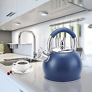 HRHongRui Whistling Tea Kettle for Stove Top Stainless Steel Tea Pot with Ergonomic Silicone Handle Teapot for Stovetop 3.2 Quart / 3 Liter Blue