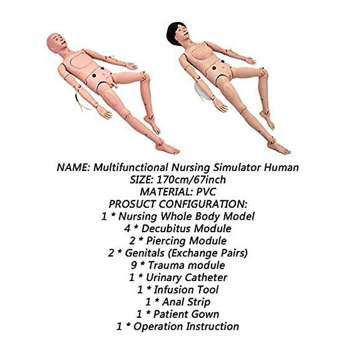 WFZY Training Manikin Model Mannequin Patient Education Teaching Model 170 cm PVC Anatomical Mannequin, Body Care Simulator Model for Nursing Medical Training Teaching