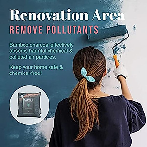 Naamoo Bamboo Charcoal Air Purifying Bag 5-Pack (5x200g) - Activated Charcoal Bags Odor Absorber for Around The House - Easy to Use Odor Eliminator for Pet Area, Cat Litter Box, Laundry Room and more