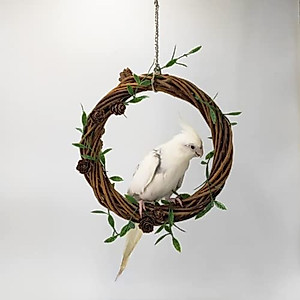 Round Bird Swing, Natural Willow Branch Chewing Bird Toys, Hanging Climbing Cage Parrot Perch Play Stands for Small Parrots Lovebirds Conures Parakeets (Large)