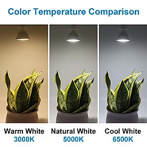 ORALUCE GU10 LED Bulbs, 6 Watt Equivalent to 50W Halogen Light Bulb,Non-dimmable,6500K Cool White, 120 V, 480 Lm,120° Flood Beam Angle, MR16 Shape for Recessed, Track Lighting, Pack of 6