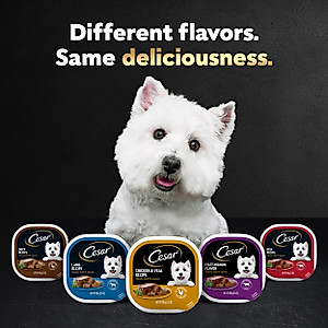 CESAR Adult Wet Dog Food Classic Loaf in Sauce Chicken & Veal Recipe, 3.5 oz. Easy Peel Trays, Pack of 24