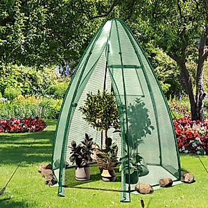 Safstar Portable Mini Greenhouse, Garden Greenhouse W/ All-Weather PE Cover, Roll-up Door, Mesh Window, Outdoor Plant Greenhouse for Cold & Frost Protection, Garden Tent for Pot Plant, 63" x 63" x 72"