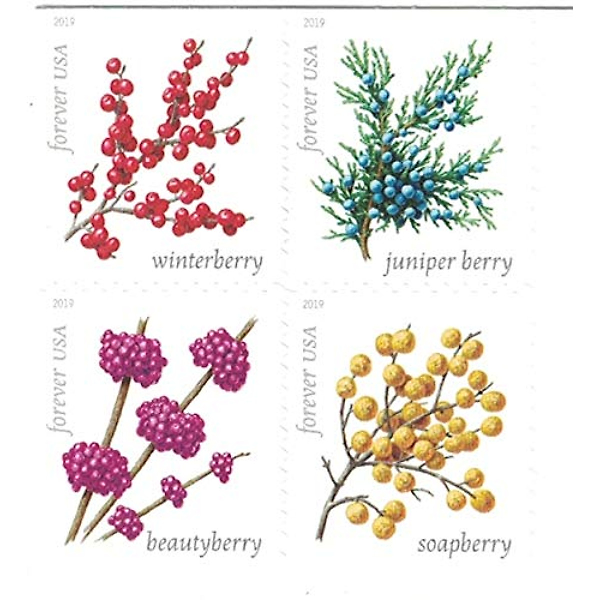 Winter Berries Book of 20 First Class US Postage Stamps Wedding Celebrate Engagement (20 Stamps)