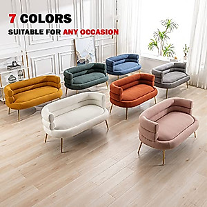 Dolonm Accent Loveseat Sofa for Living Room, Modern Mini Couch with Tufted Backrest, Upholstered Comfy Settee Loveseat for Bedroom, Small Space, Mustard Yellow