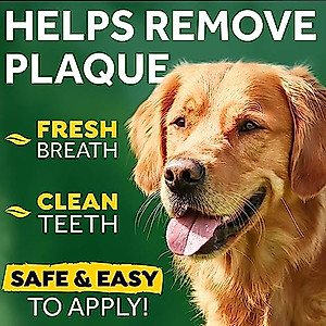 Fresh Breath by TropiClean Brushing Dental & Oral Care Gel for Dogs & Cats, 2oz, Made in USA - Removes Plaque & Tartar