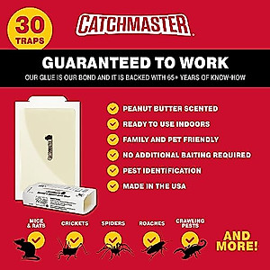 Catchmaster Mouse & Insect Super Glue Traps 30PK, Mouse Traps Indoor for Home, Extra Strength Sticky Pest Control Adhesive Tray for Catching Bugs, Rats & Rodents, Non Toxic Bulk Pre-Baited Glue Boards