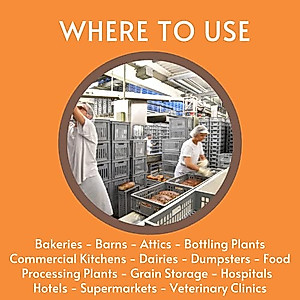 Diversey 5814919 Skidoo Institutional Flying Insect Killer II, Kills Flies, Gnats, Mosquitoes, Wasps & More, Aerosol Spray, 15-Ounce