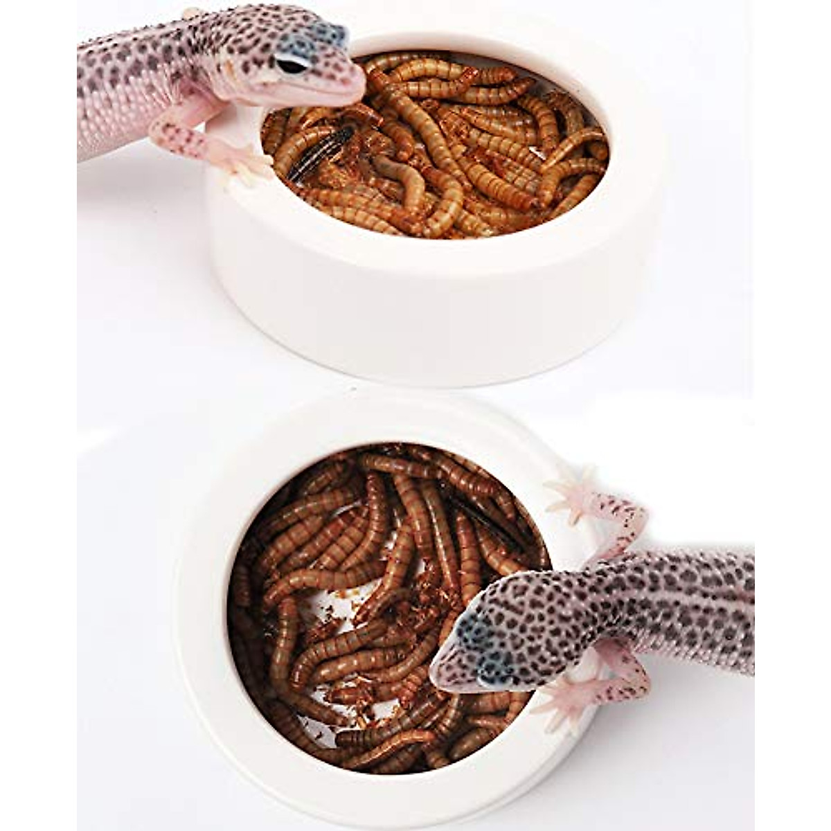 ELDETU Reptile Food Water Dish Worm Bowl Mealworm Feed Feeder Mini Reptile Food Bowl Ceramics Made (S)
