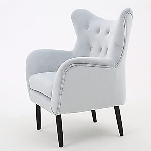 Christopher Knight Home Seigfried Velvet Arm Chair, Light Grey