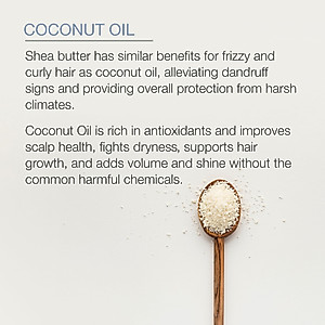 Pure Body Naturals Coconut Oil Hair Mask, Deep Conditioning Hair Treatment for Dry Damaged and Color Treated Hair, Sulfate Free Hair Conditioner, Moisturizes, Repairs, 8.8 Fl Oz