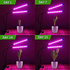 Hawanik LED Grow Lights for Indoor Plants 2-Pack