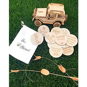 Funny Baby Monthly Milestone Announcement Cards | 13 Round Wooden Double Sided Signs | Gender Neutral Gifts | Baby Shower | Fun Photo Props | Baby Registry | Pregnancy Gift | Baby Photo Props