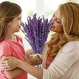 120+Stems Dried Lavender Flowers Bundle-Dried Preserved Lavender Bouquet 15-17" for Shower Weeding Home Vase Decor, Crafts, Aromatherapy, Fragrance, Fresh Silk Dry Live Plants