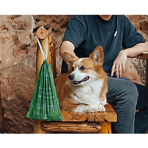 HeartGaBoo Dog Poop Bags Rolls, Drawstring Poop Bags for Easy Tying and Carrying,100% Home Compostable, Leak Proof and Extra Strong, Large Poop Bags for Dogs, Unscented, 60 Count (Side-Drawstring)