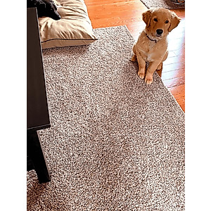 KOECKRITZ Custom Cut-to-Fit Area Rugs Neutral Carpet - Soft Plush Indoor Rugs - Perfect for Living Room, Bedroom, Entryway - Great for Homes, Apartments, Dorms, Kids Room - 12x15' ft Chocolate