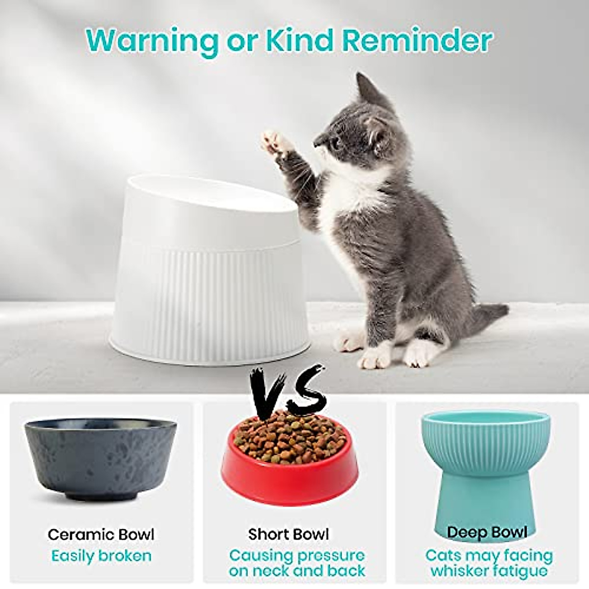 iPettie Elevated Cat Food Bowl Cat Dish, Tilted Pet Feeding Station with Stand for Small Dog, Made from Certified Food-Safe Plastics, Better Than Stainless Steel and Ceramic