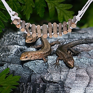 Ipetboom Climbing Pet Suspension Bridge Lizard Accessories Tank Reptile Decor Tank Reptile Ladder Terrarium Reptile Decor Wooden Reptile Ladder Hanging Reptile Decor Wooden Lizard Ladder