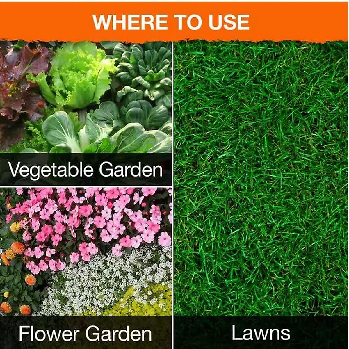 Ortho Bug B Gon Insect Killer for Lawns3. - Kills Ants, Fleas, Ticks, Chinch Bugs, Mole Crickets and Cutworms - Use on Lawns, Ornamentals and Home Perimeter, 10 LB