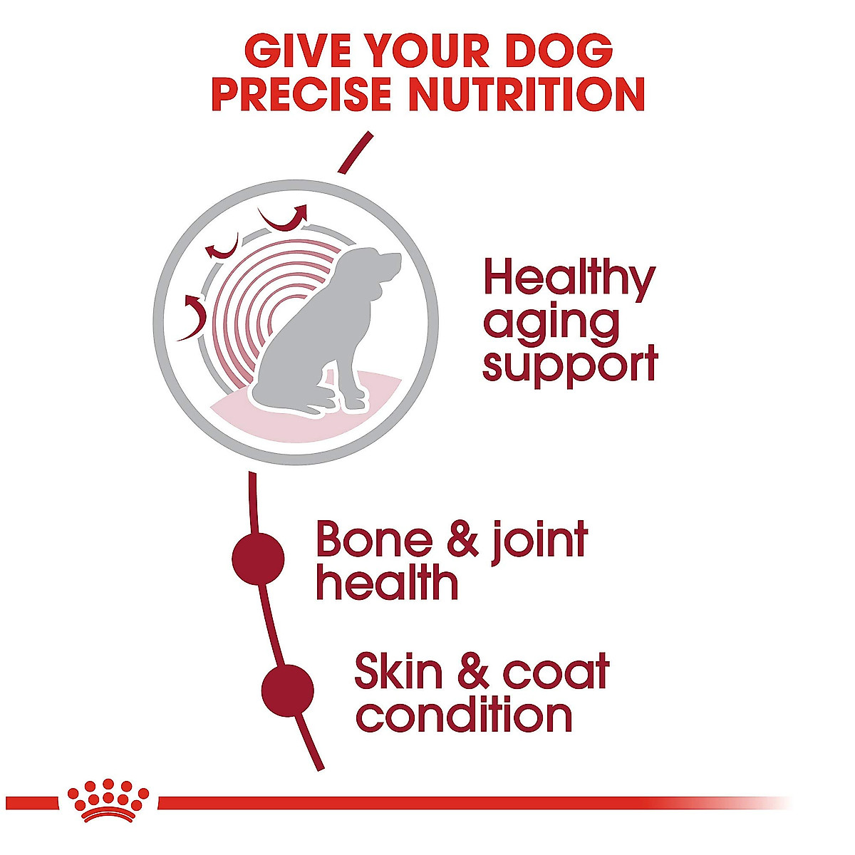 Royal Canin Medium Aging 10+ Senior Dry Dog Food, 30 lb bag