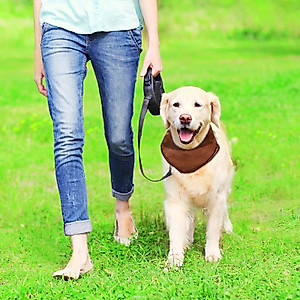 Haysandy 12 Pcs 50s Retro Chiffon Sheer Square Neck Head Scarf for Women Handkerchief Lightweight Satin Ribbon Scarf Hemmed Sheer Neck Scarf Juggling Dance Scarf Set, 27.5 x 27.5 Inches (Retro Color)