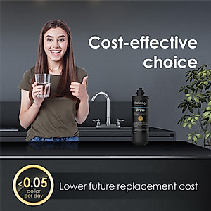 Waterdrop 10UA Under Sink Water Filter System and RF10 Replacement Filter Cartridge for 10UA/10UB Under Sink Water Filter