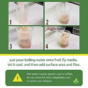 Josh's Frogs 32oz Insect Cup and Fabric Lid