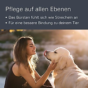 Alcott Bamboo Groom Palm Brush with Boar Bristles for Pets