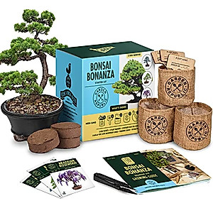 Bonsai Tree Kit - Grow 3 Mini Bonsai Trees, Indoor Plant Growing Kit - Bonsai Starter Kit with Bonsai Seeds, Soil, Planters & Shears, Gardening Gifts for Women, Fathers Day Gardening Gifts