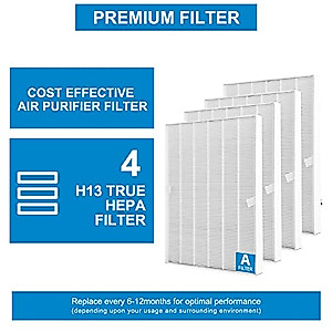 4 Pack 115115 HEPA Replacement Filter A Size 21 - Compatible with Winix PlasmaWave C535 5300 5300-2 6300 6300-2 P300 AM90 9000 5000 5000B C909 9800 Air Purifier