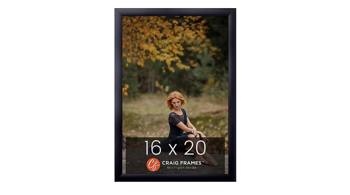 Craig Frames 16x20 Modern Black Picture Frame