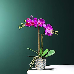 QUI-LO Perennial Gardens 18"-22" H Artificial Orchid Flowers, Fake Orchid, Artificial Orchids, Faux Orchid, Silk Orchids, Fake Flowers, Orchids Artificial Flowers (Rose)