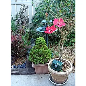 Bird-X Yard Gard Electronic Animal Repeller keeps unwanted pests out of your yard with ultrasonic sound-waves