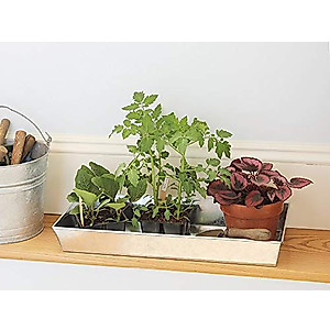 Achla Designs Antique Galvanized Steel Rectangular Plant Tray- 29 in