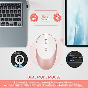 Backlit Keyboard Case with Mouse Compatible with iPad Pro 10.2 9th/8th/7th Gen, iPad Air 3, iPad Pro 10.5 2017, Detachable Keyboard US Layout with Cover & Mice, Rose Gold