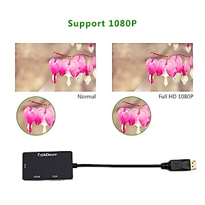 CableDeconn Multi-Function Displayport Dp to HDMI/DVI/VGA Male to Female 3-in-1 Adapter Converter Cable