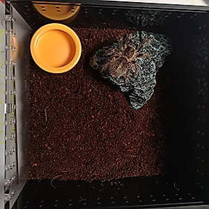 2 Pack Reptile Food Bowls Mini Ceramic Water Feeder Bowl Anti-Escape Mini Reptile Feeder for Lizard Anoles Bearded Dragons Crested Gecko Hermit Crabs